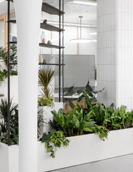 Edwards Lifesciences – roydavid.co